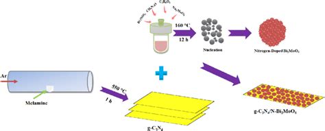 Schematic Representation For The Preparation Method Of G C N N Bi Download Scientific
