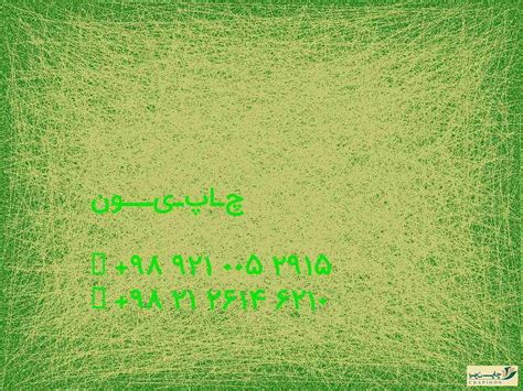 چاپیون طراحی لوگو فانتزی