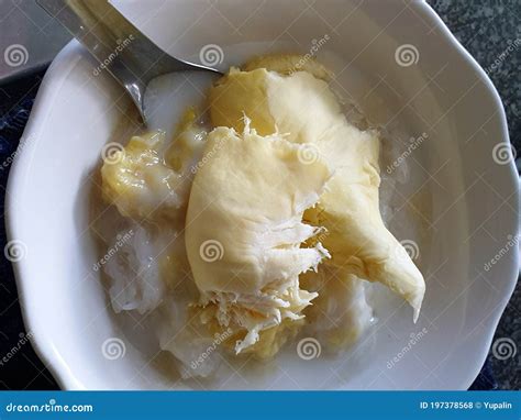 Durian Sticky Rice stock photo. Image of sticky, sweet - 197378568