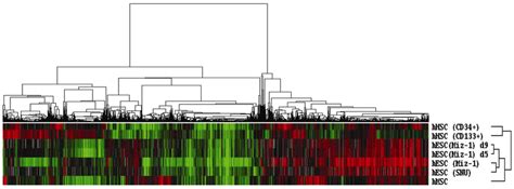 Two Way Hierarchical Clustering Of A Set Of 4666 Clones Expressed In