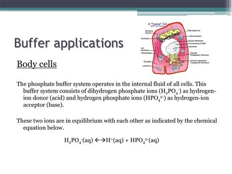 PPT Buffers PowerPoint Presentation Free Download ID