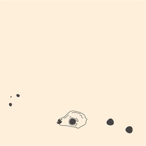 Codepen The Animated Web