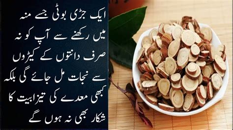 ایک جڑی بوٹی جسے منہ میں رکھنے سے آپ کو نہ صرف دانتوں کے کیڑوں سے نجات