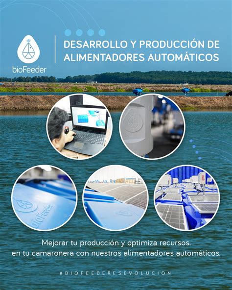Biofeeder En Linkedin Alimentaciónautomática Biofeeder