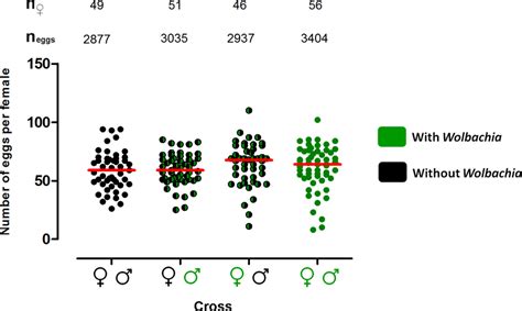 Wmel Does Not Affect Fecundity In Brazilian Ae Aegypti Number Of Eggs