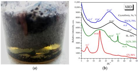 Chitosan Nanolignin Aerogel With Microneedles Based Architecture Obtained From Spent Sulfite Liquor