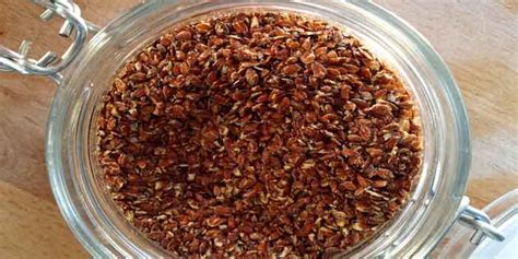 अलसी खाने के नुकसान Flax Seeds Side Effects In Hindi