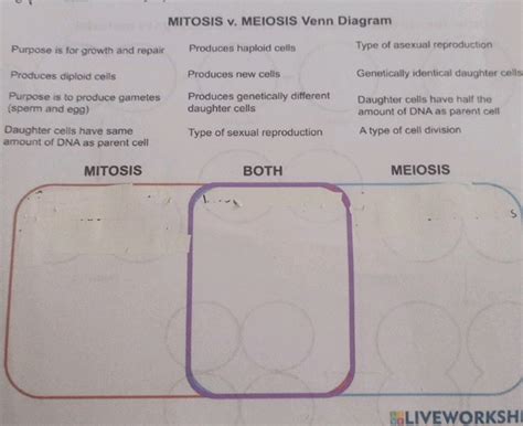 MITOSIS V MEIOSIS Venn Diagram LIVEWORKSH StudyX