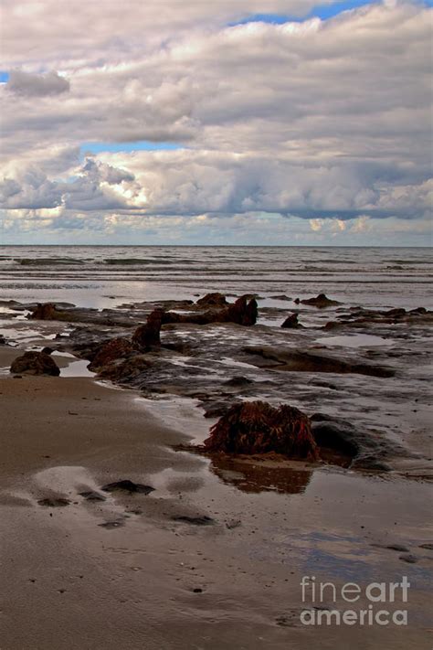 Barren Photograph By Stephen Melia Fine Art America