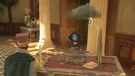 How To Get Knotgrass Sprigs In Hogwarts Legacy Pro Game Guides