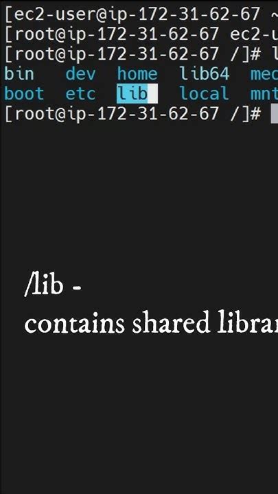Shorts Shortsvideo Linux Linuxcommands Engineers Youtube