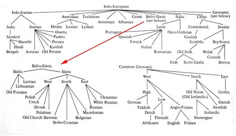 Sex Lithuanian Russian Languages 67 Photos Motherless Porn Pics