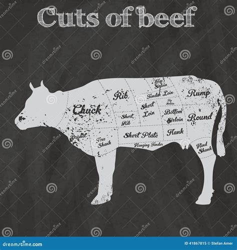 Beef Cuts Chart Cow Isolated On White Background Vector