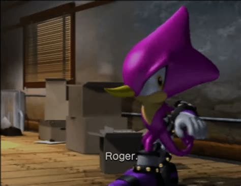 What Does Roger Means Sonic Héroes R Moonpissing