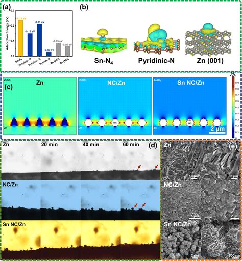 Atomic Sn Sites On Nitrogen Doped Carbon As A Zincophilic And Hydrophobic Protection Layer For