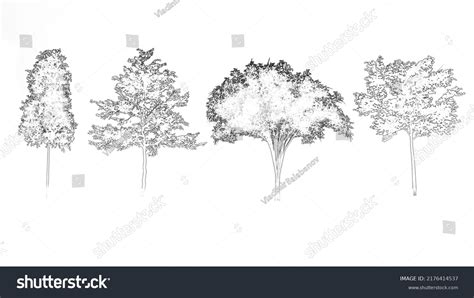 Trees Side View Hq Realistic Set Stock Illustration