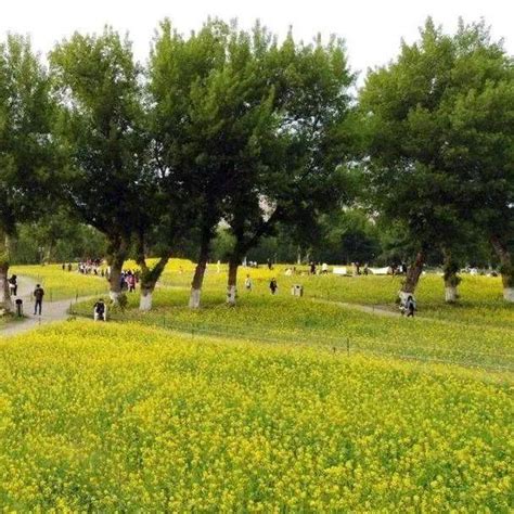 沈阳现代化都市旅游圈推出23条夏季旅游线路风景区城市一体
