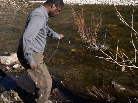 视频 Colorimetric Paper Based Detection Of Escherichia Coli Salmonella Spp And Listeria