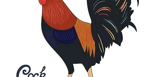Cock Album On Imgur