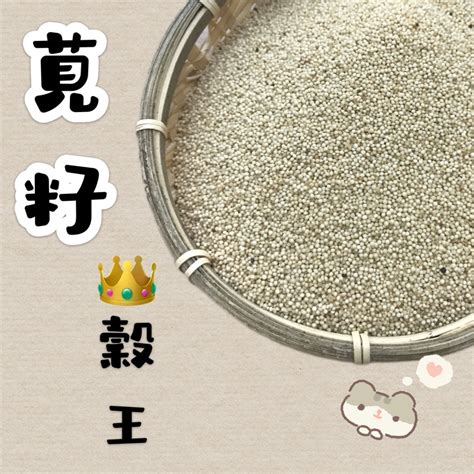 根正嚴選｜莧籽 穀王 600g Amaranth 蝦皮購物
