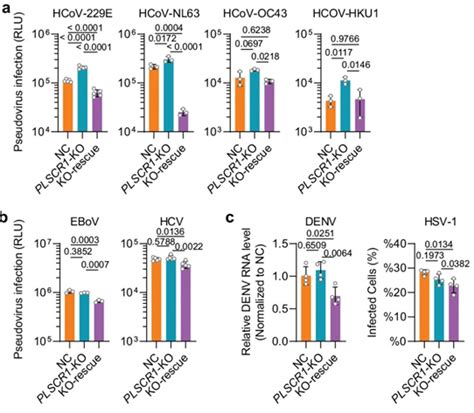 Sino Biological Products Contribute To The Publication Of Multiple Nature Articles Sino Biological