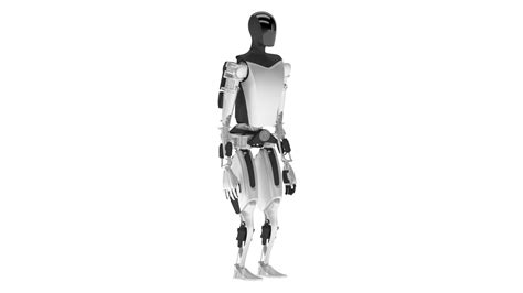 Tesla Robot X Superhive Formerly Blender Market