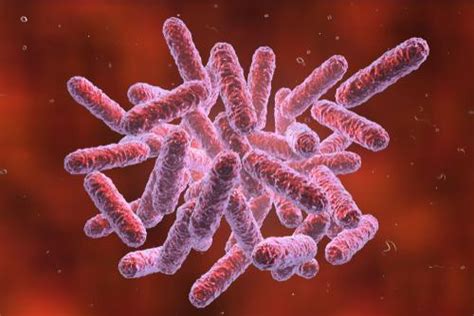 Clinical And Laboratory Standards Institute Clsi On Linkedin Free