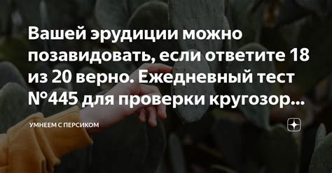 Вашей эрудиции можно позавидовать если ответите 18 из 20 верно Ежедневный тест №445 для