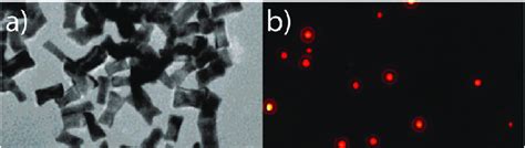 A Single Particle Localized Surface Plasmon Resonance LSPR Assay For