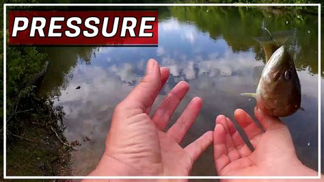 Bass Fishing With A Wacky Rig Senko Bank Fishing Tips Realistic Fishing