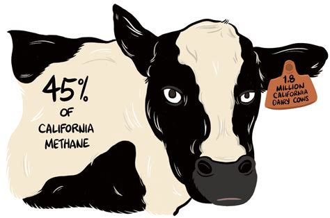 Wrangling The Climate Impact Of California Dairy Civil Eats