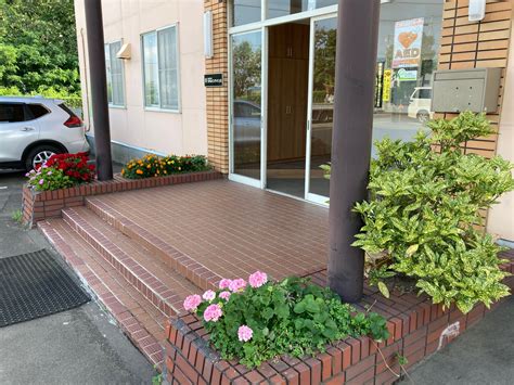 ※会社敷地内の夏の花（植物）が良い感じで咲いていました。