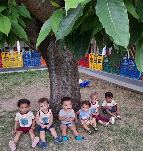Ontem 21 Dia Da árvore 🌳 O Dia Escola Formiguinha