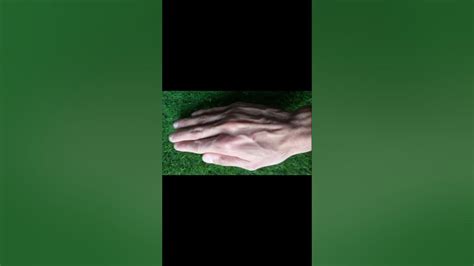 Funny Cute Seen 🥰🥰 🥰 Youtube