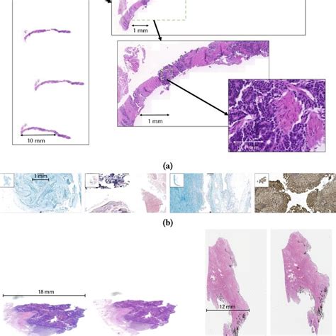 Illustration Of The Assumed Attack Model A Assumed Model For Data
