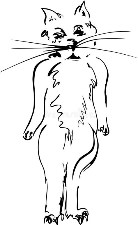 Gato Estilizado Ilustrações Vetores E Clipart De Stock 5 439 Stock Illustrations
