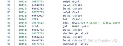 RISC V处理器核设计优化与扩展指令集实现三 知乎