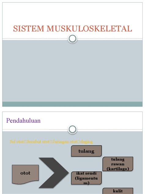Sistem Muskuloskeletal Pdf