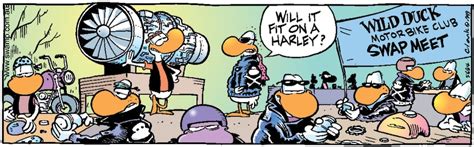 Wild Ducks Harley Comic Swamp Cartoons