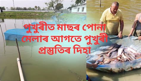মাছৰ পোনা মেলা পূৰ্বে পুখুৰীৰ প্ৰস্তুতি সন্দৰ্ভত অসম গৌৰৱ দেৱজিত বৰ্মনৰ