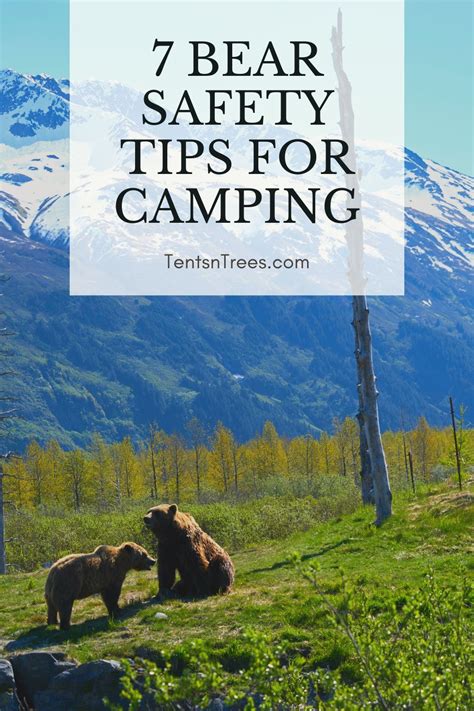 Check Out These 7 Bear Safety Tips That Will Help Keep You Safe During