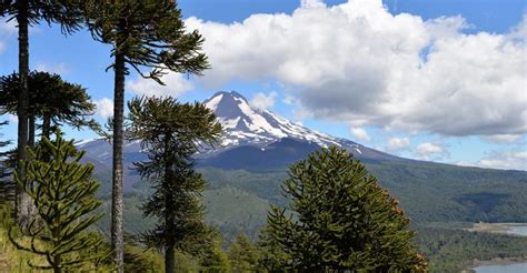 Araucanía Andina