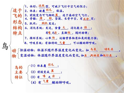 第七节哺乳动物pptword文档在线阅读与下载无忧文档