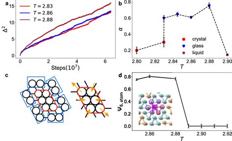 Physical Nature Of The Non Equilibrium Amorphous State And The Phase