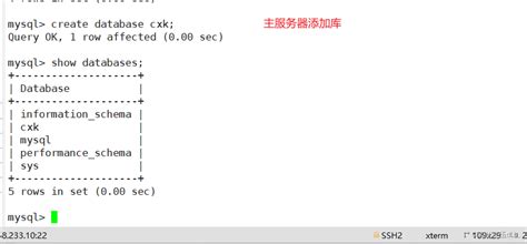 Mysql Csdn