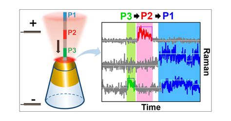 Single Molecule Protein Segments Sequencing By A Plasmonic Nanopore