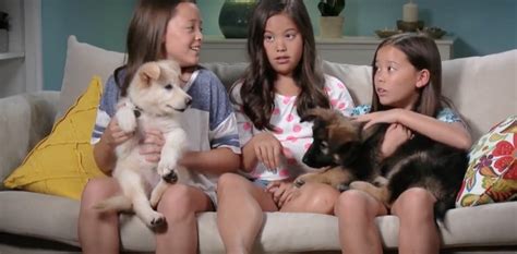 Puppies And Chaos On Kate Plus 8 As Sextuplets Turn 12
