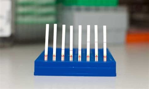 At Home Diagnostic Tests Powered By Crispr Soon Could Help Diagnose Infectious Diseases And Even