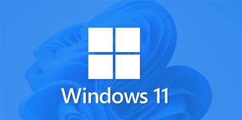 Win11添加开机启动项的方法 360新知