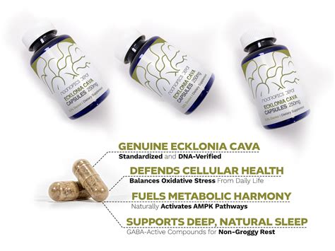 Ecklonia Cava Capsules